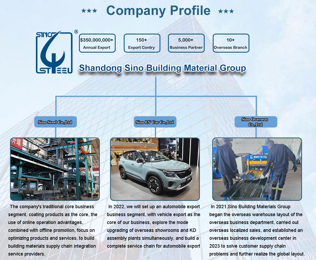 Company Overview - Shandong Sino Steel Co., Ltd.