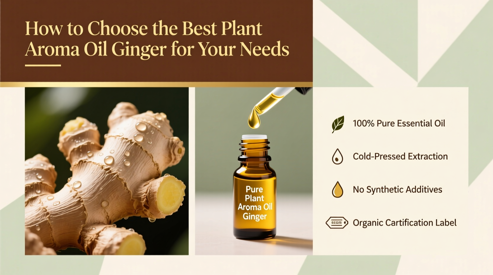 How to Choose the Best Plant Aroma Oil Ginger for Your Needs