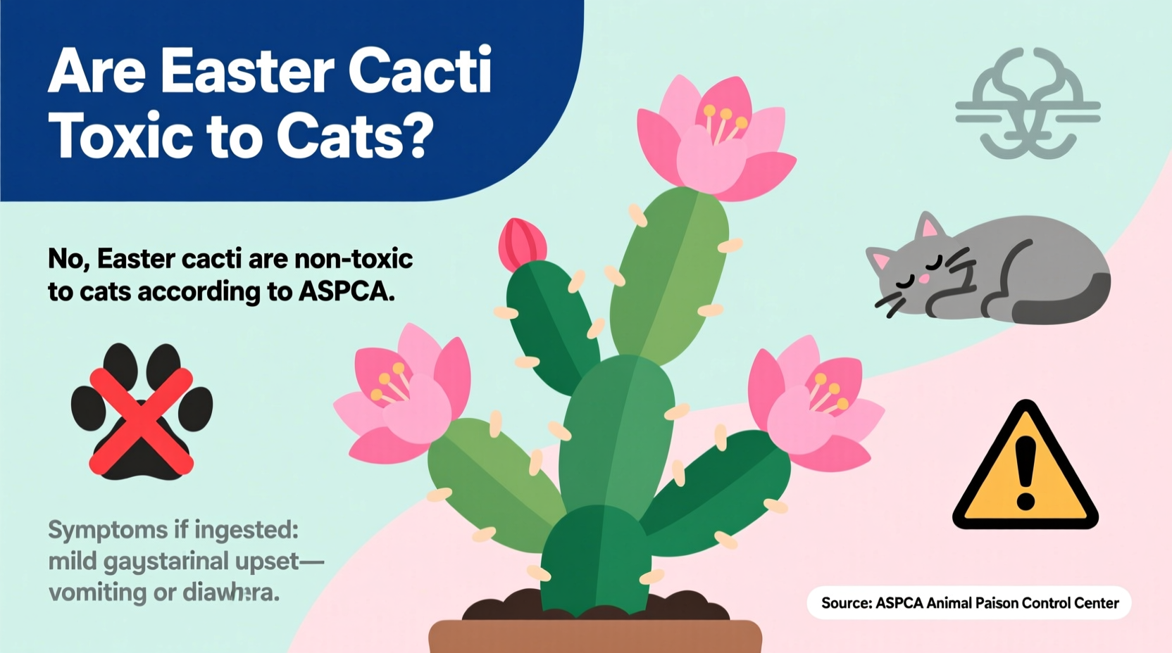 Are Easter Cacti Toxic to Cats? Safety Guide for Pet Owners