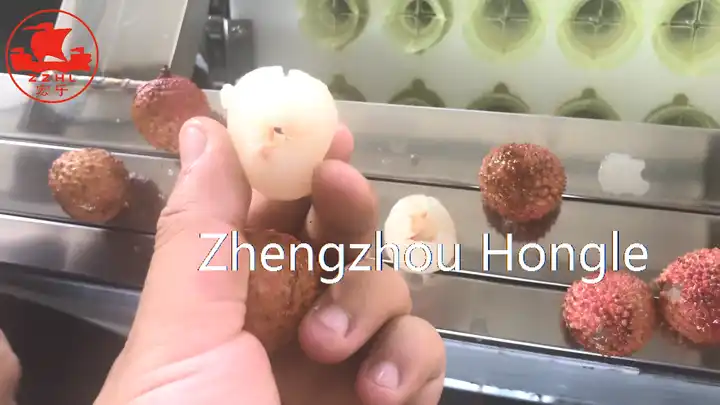 Efficient Lychee Peeling and Pitting Machine - 500-1000kg/h