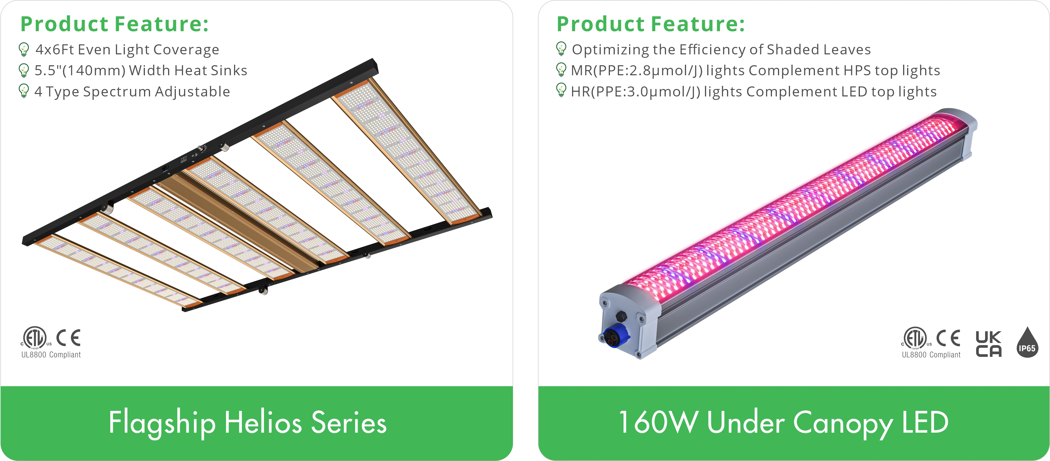 Huizhou HongYi Lighting Co., Ltd. - LED Grow Light, LED Horticultural Light