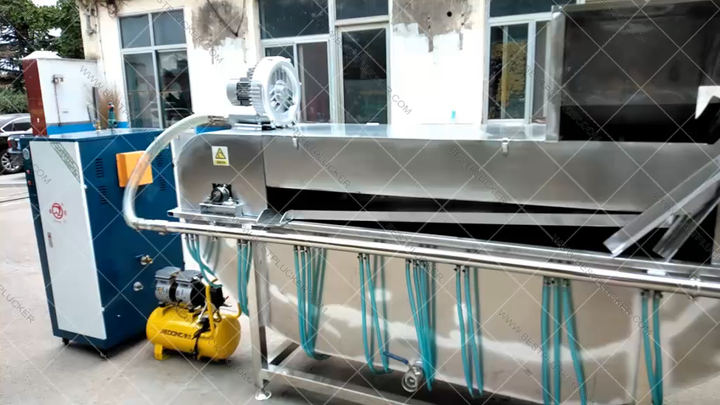 Efficient Poultry Processing with Automatic Slaughterhouse Equipment