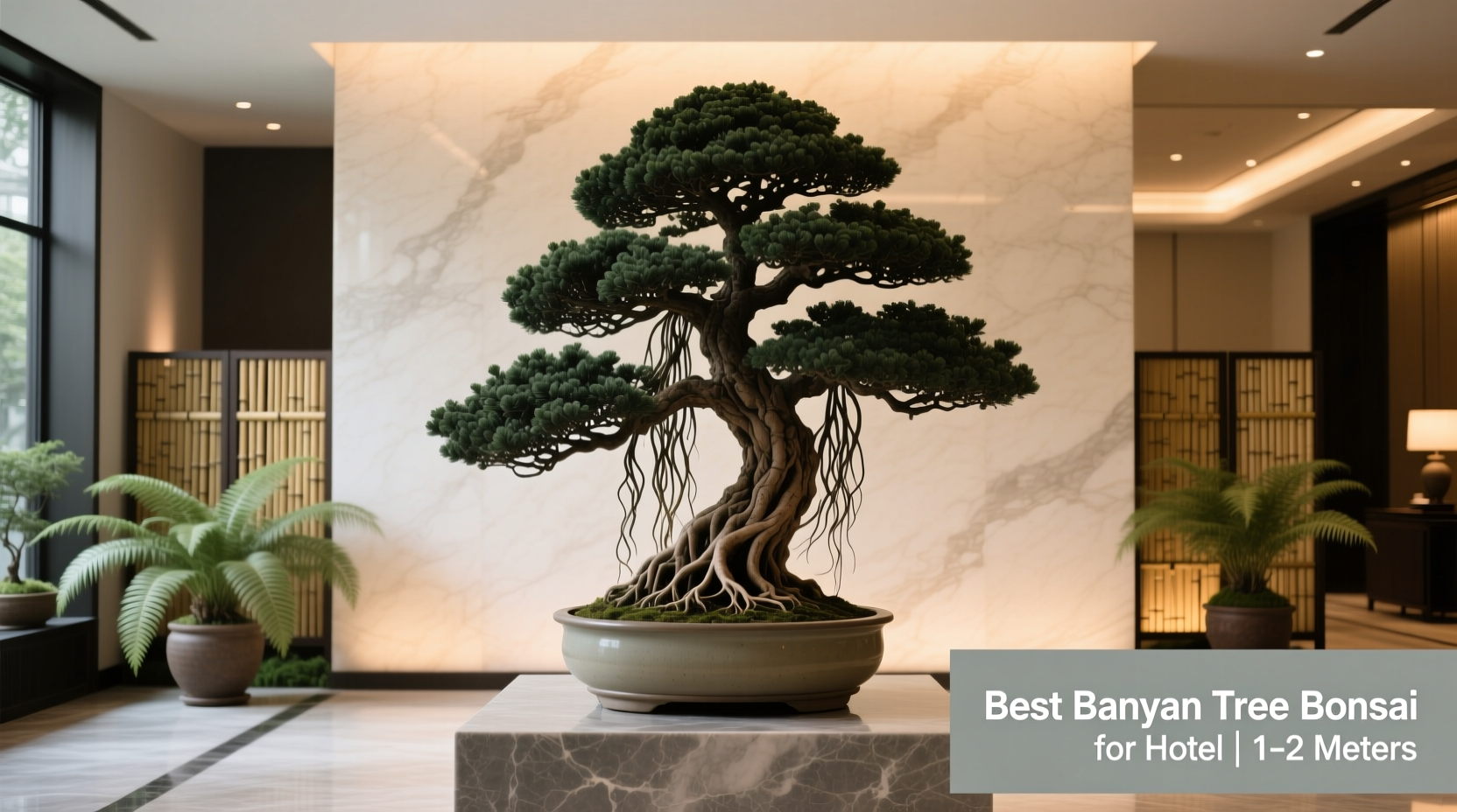 How to Choose the Best Banyan Tree Bonsai for Hotel 1 to 2 Meters