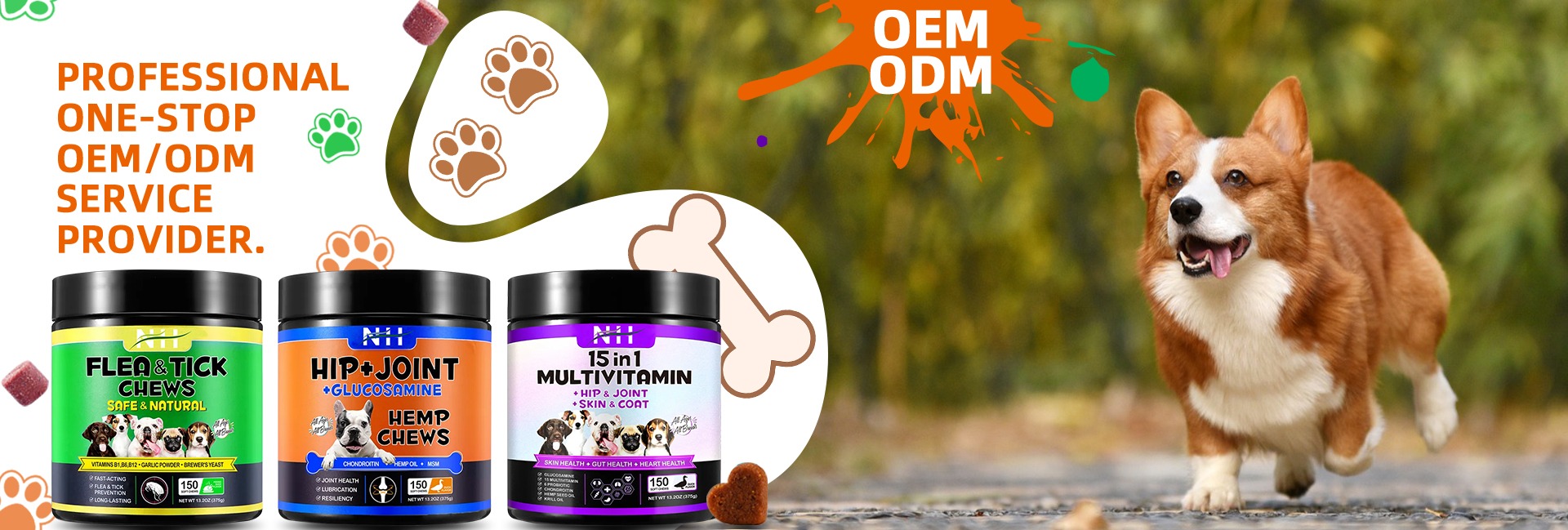 Company Overview - Niuxilai (guangzhou) Biotechnology Co., Ltd.