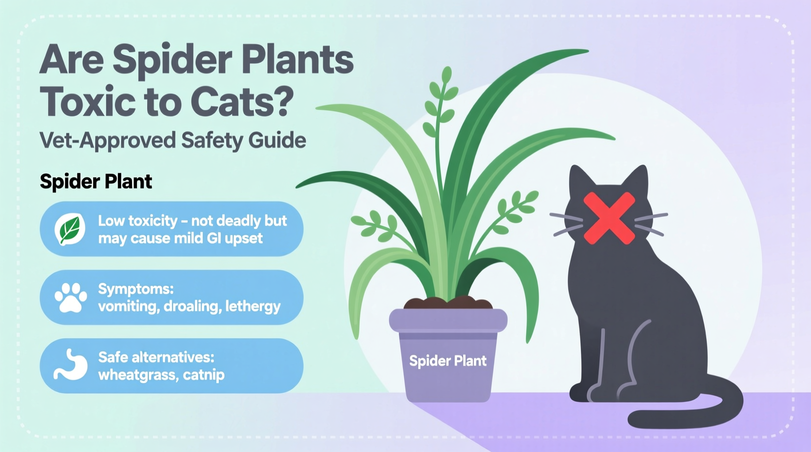 Are Spider Plants Toxic to Cats? Vet-Approved Safety Guide