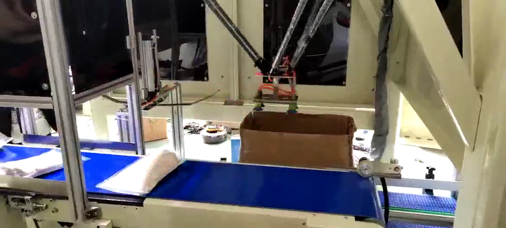 Spider Robot Packing Carton Packing Pouches into Cartons