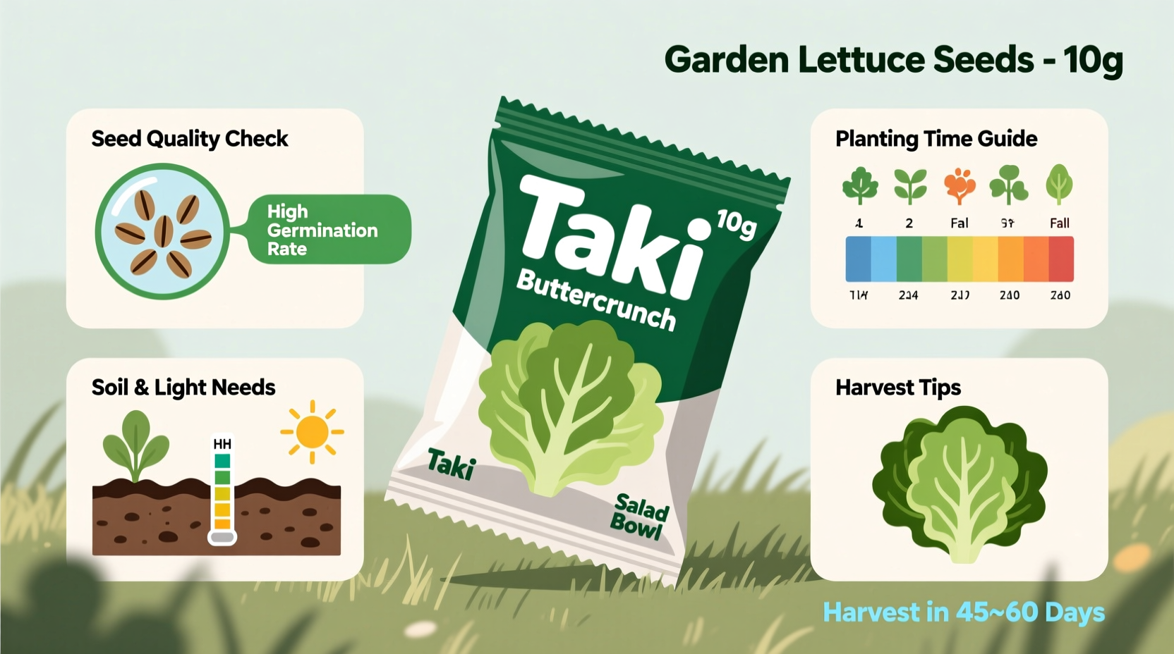 How to Choose the Best Lettuce Seeds 10g Taki Packet for Your Garden