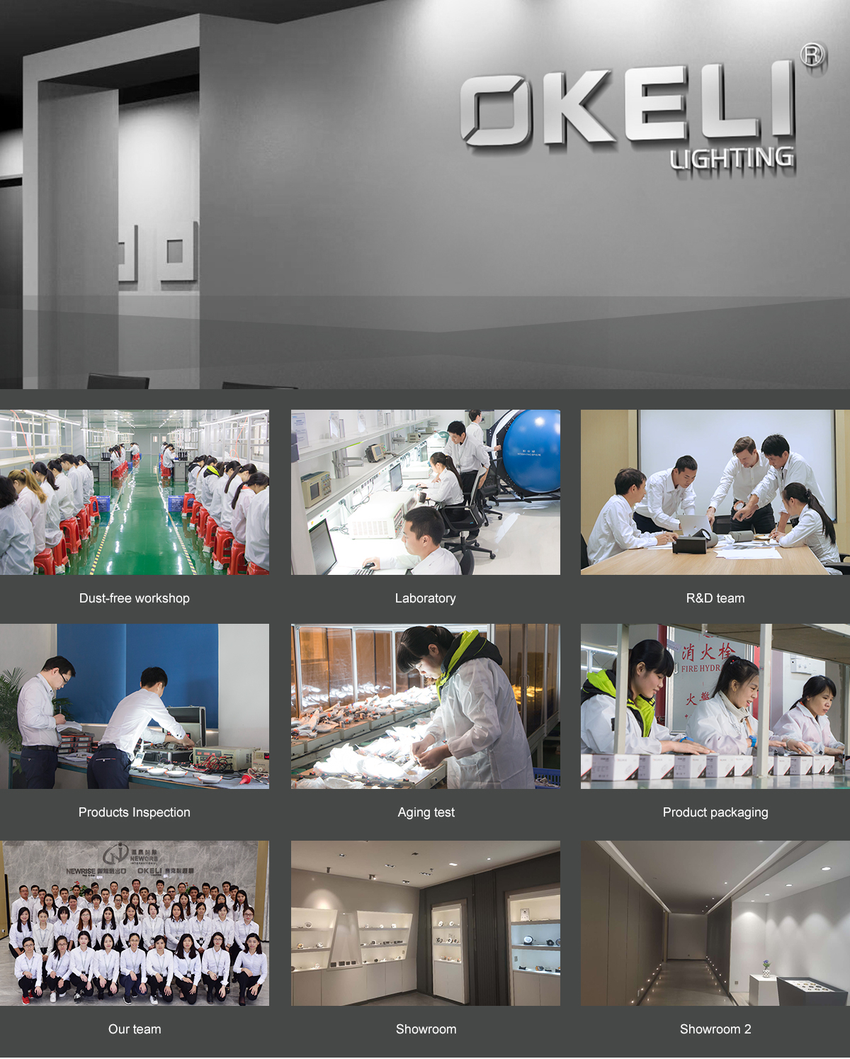 Company Overview - Zhongshan Okeli Lighting Co., Ltd.