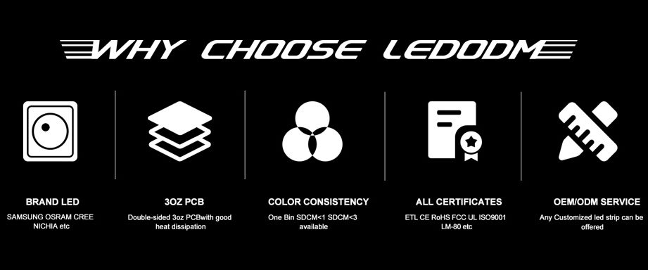 Shenzhen Ledodm Lighting Co., Ltd. - LED Strip Light, LED Neon Light