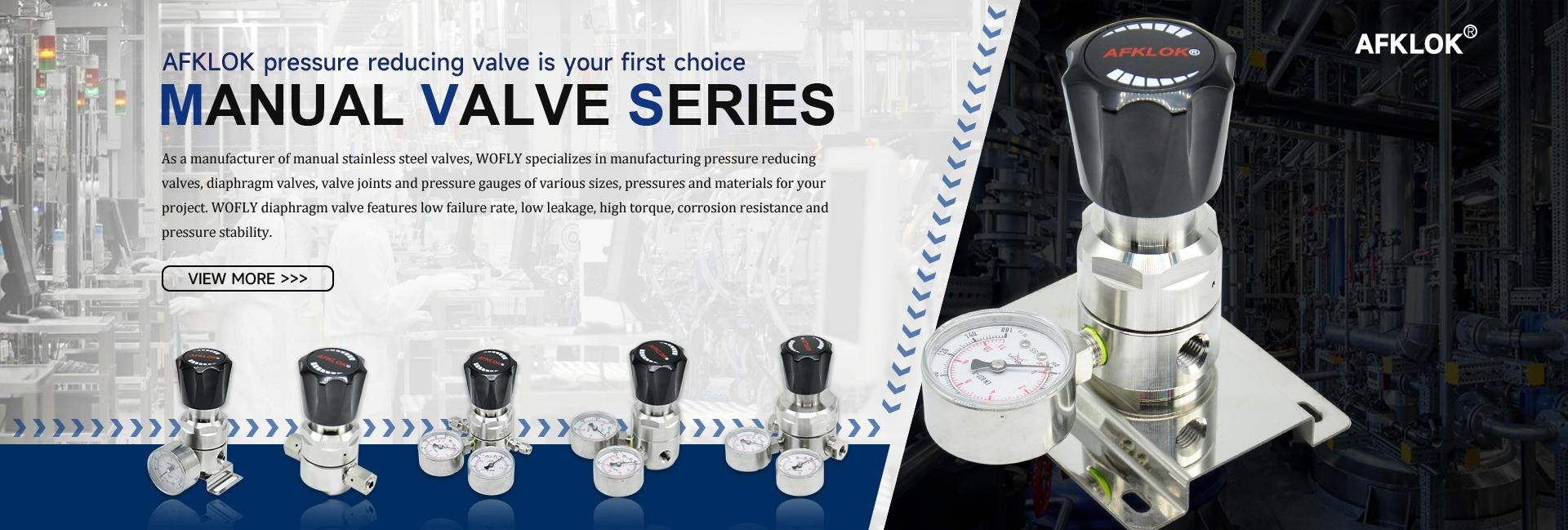 Company Overview - Shenzhen Wofly Technology Co., Ltd.