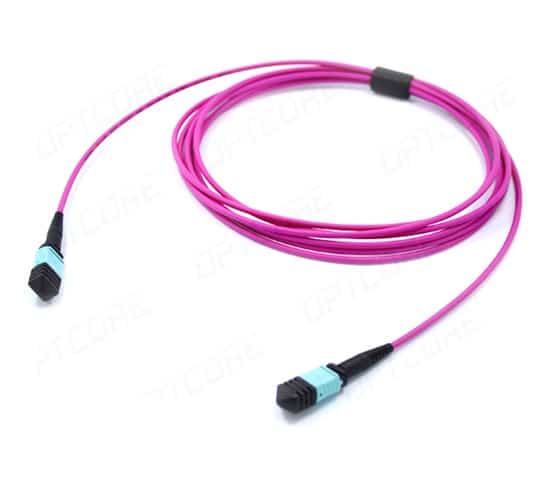 MPO MTP Fiber Optic Patch Cable 0.5dB Insertion Loss PVC Jacket 12 / 24 ... MPO MTP Fiber Optic Patch Cable 0.5dB Insertion Loss PVC Jacket 12 / 24 ...