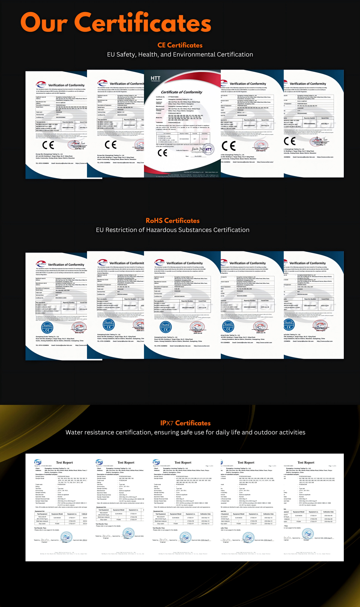 Company Overview - Guangzhou Jasini Watch Co., Ltd.