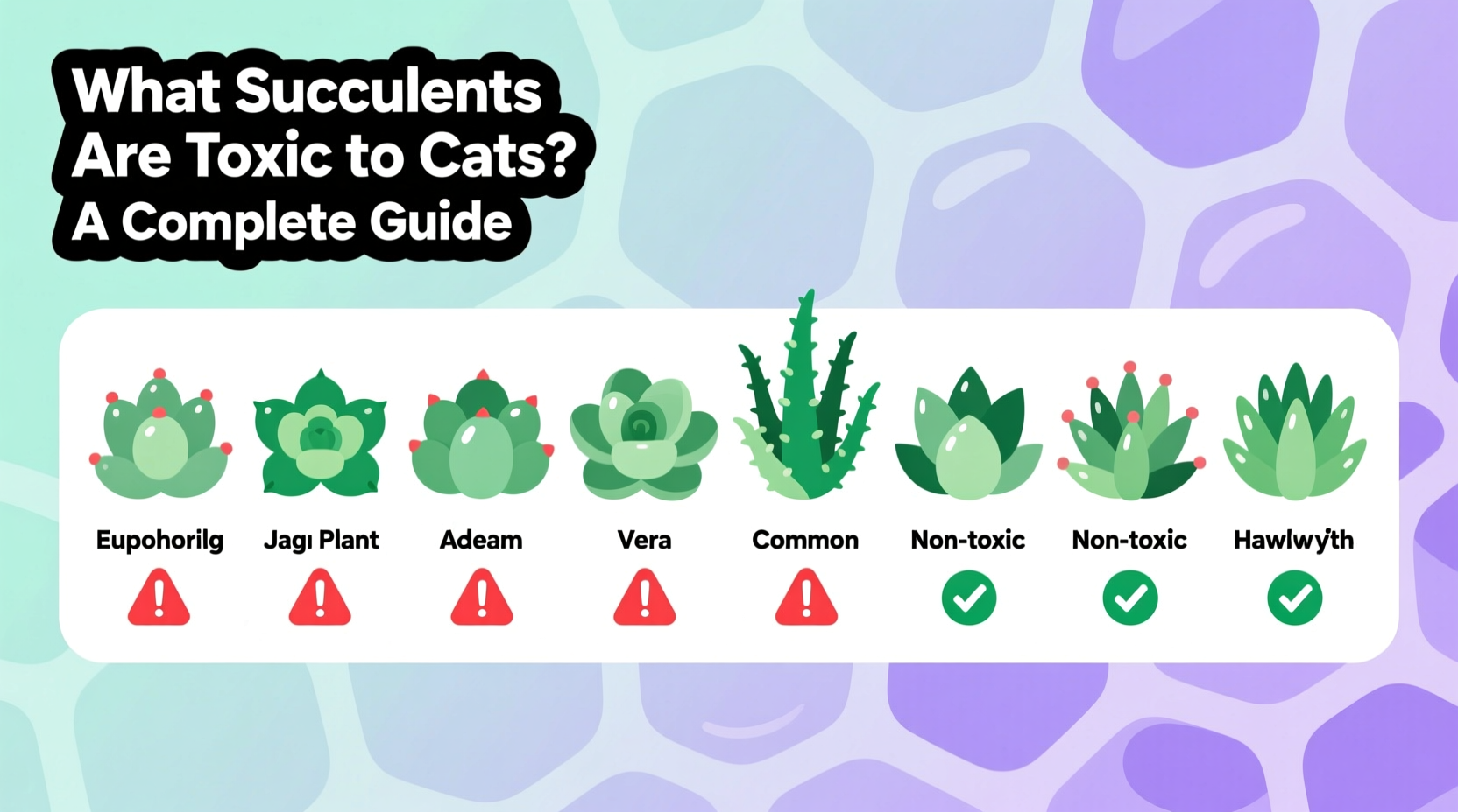 What Succulents Are Toxic to Cats? A Complete Guide