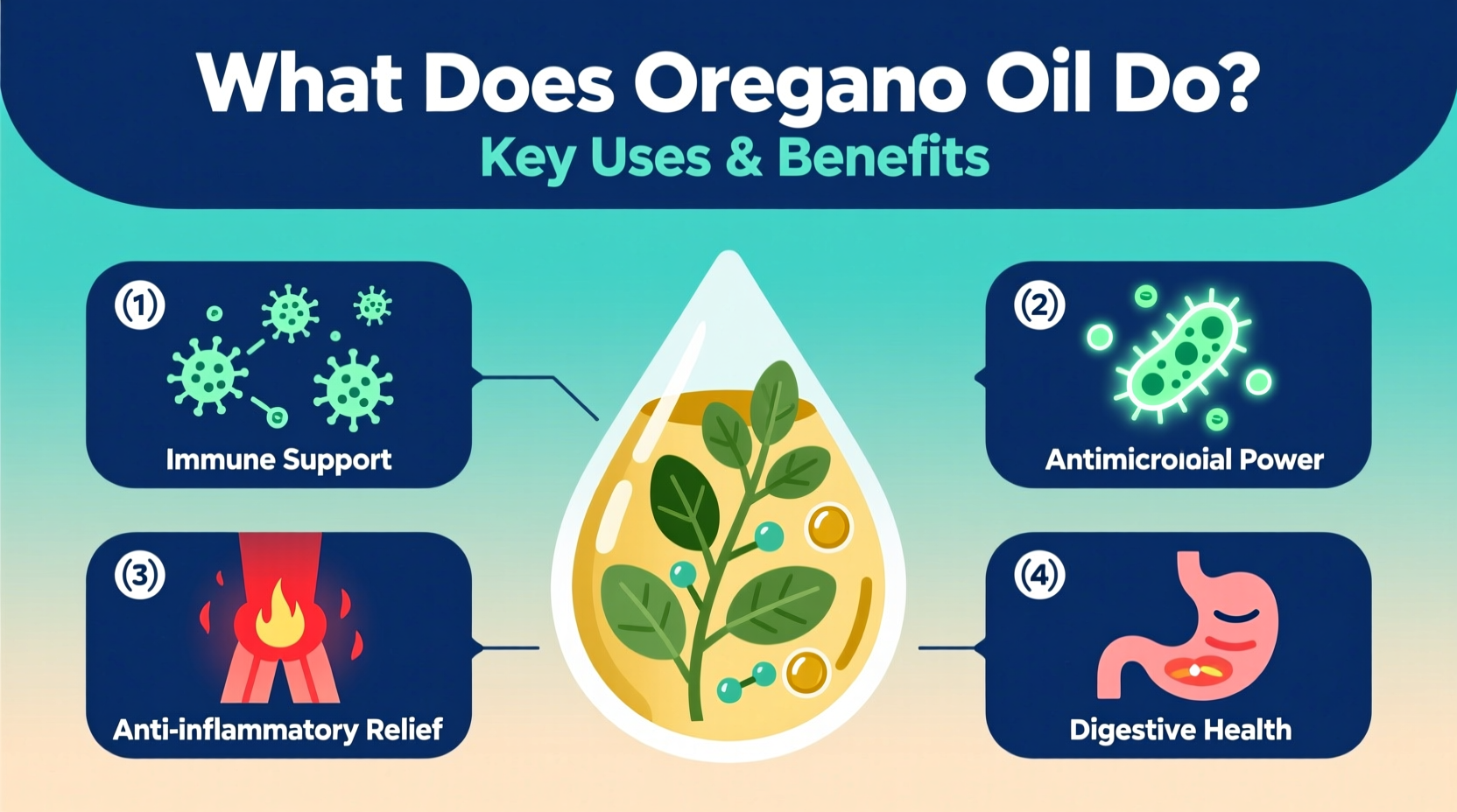 What Does Oregano Oil Do? Key Uses & Benefits