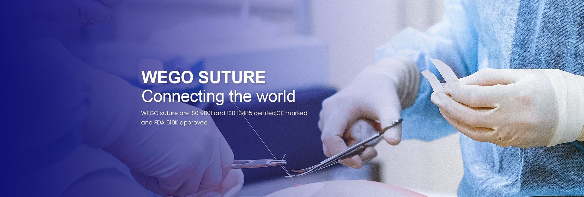 Company Overview - Shandong Weigao Group Medical Polymer Co., Ltd.