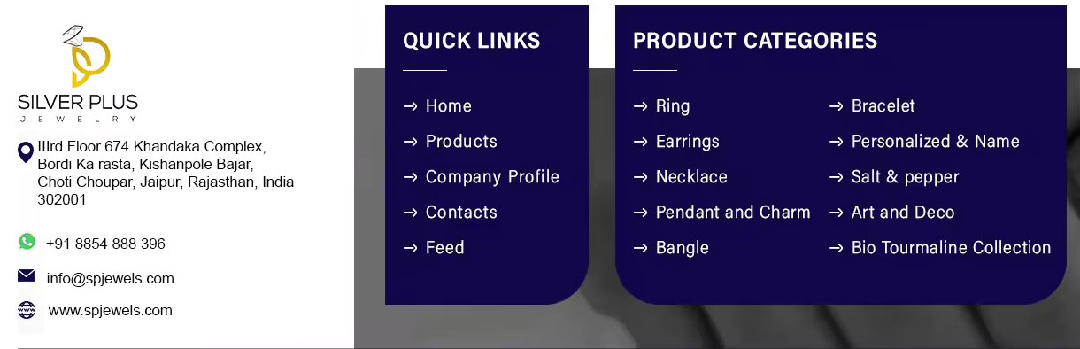 Company Overview - SILVER PLUS