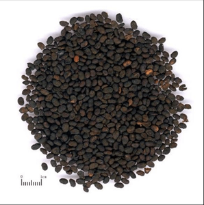 Find Non-GMO, High-Yield and Organic Babchi Seeds - Alibaba.com