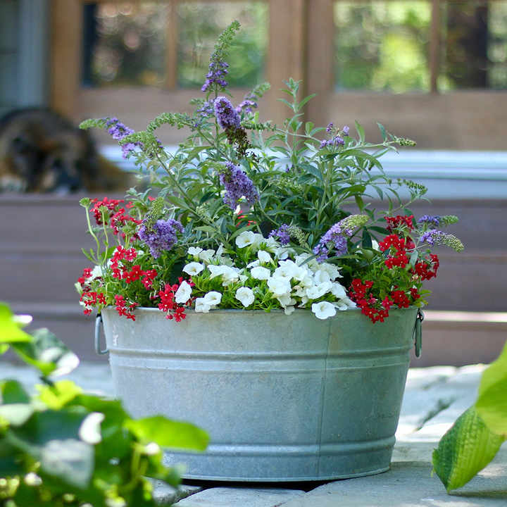 Rustic Metal Large Galvanized Planters Farmhouse Decor for Garden Patio ...