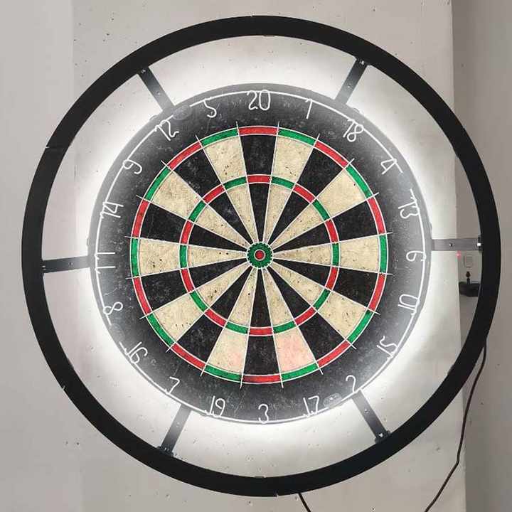 Multiple Use LED Dartboard Lighting - Customizable & Durable