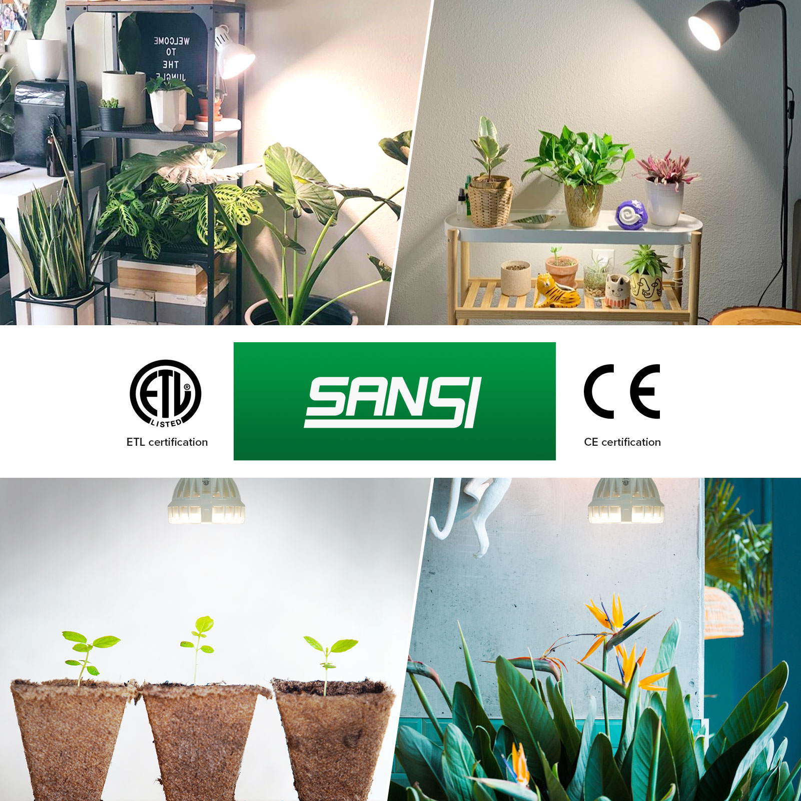 How to Choose the Best Sansi Grow Light for Indoor Plants