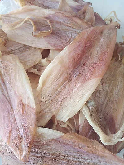 WHOLESALE BULK FRESH FROZEN SQUID / CALAMARI SQUID - BEST QUALITY GOOD ...