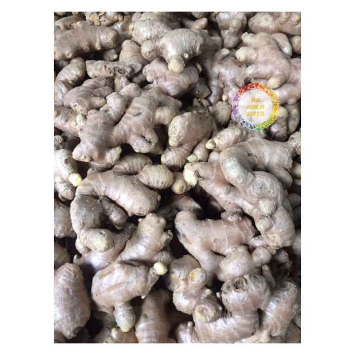 Fresh Ginger Export Supply Vietnam Origin Good Aroma Natural Taste ...