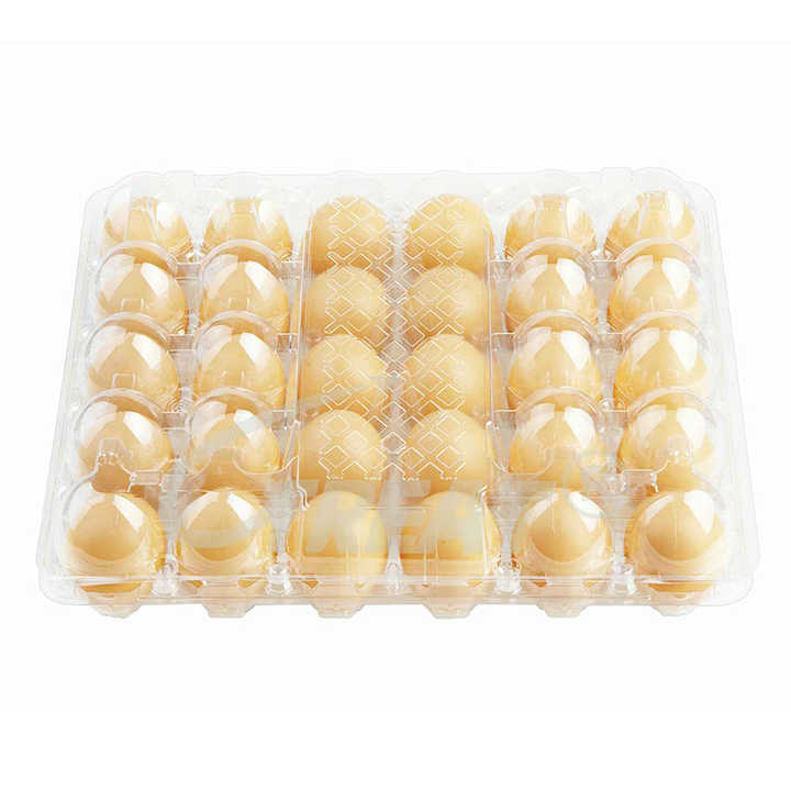 Biodegradable Packaging - Great Egg Trays for Sustainability