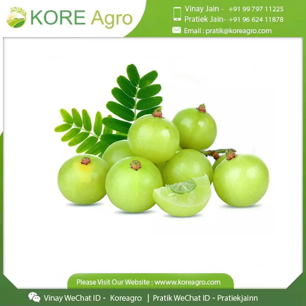 How to Choose Fresh Amla Fruit from India: Buying Guide & Tips