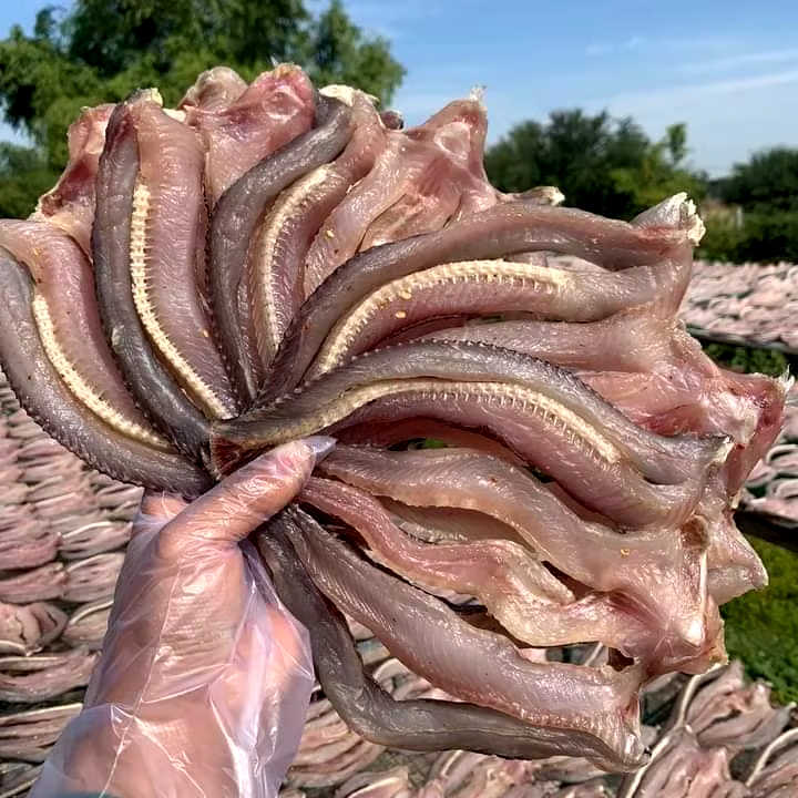 DRIED SNAKEHEAD FISH - Tasty Vietnamese Dried Seafood