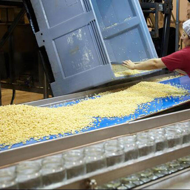 Canned Beans Canned Chickpea Processing Line /green Pea Canning Machine ...