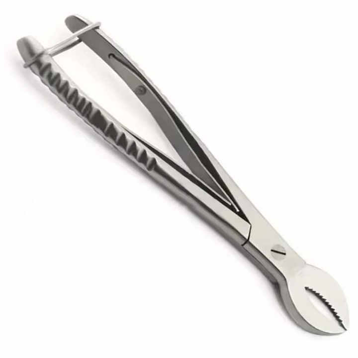 Dental Lab Pliers Gypsum Plaster Scissors Stainless Steel Nippers ...