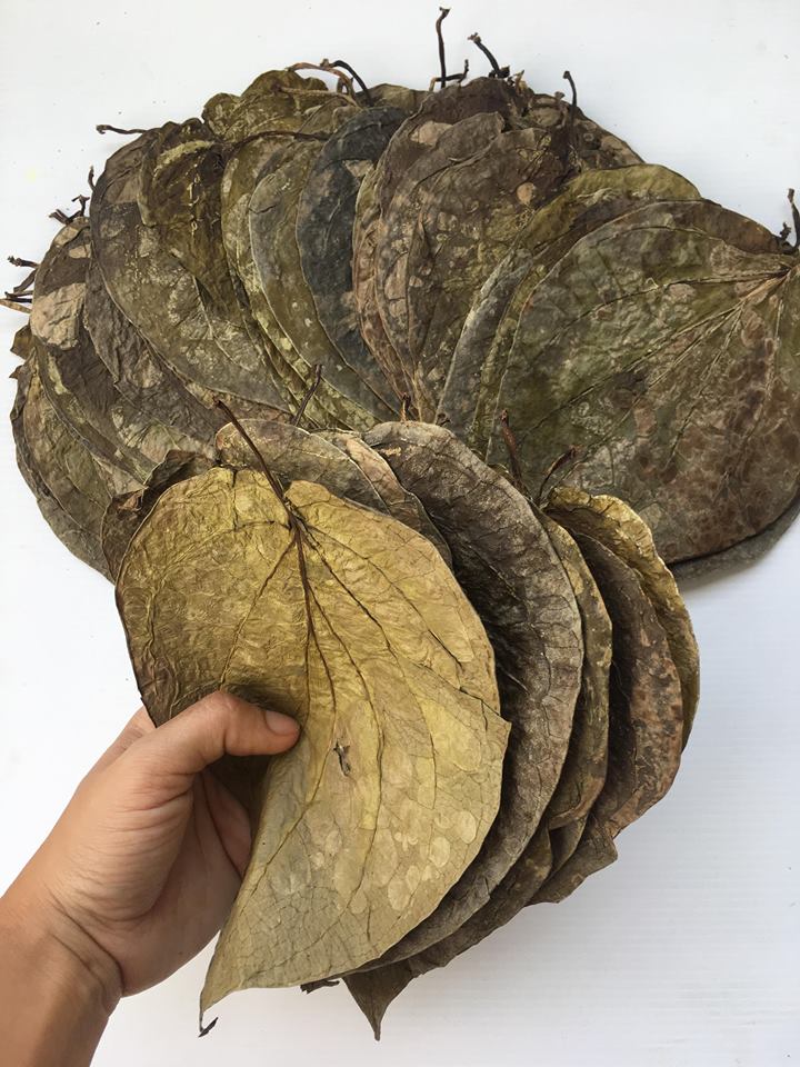 How to Choose the Best Dried Betel Leaf: A Complete Buyer's Guide