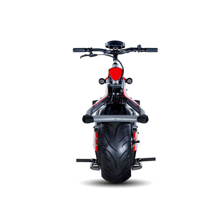 Electric Ryno one wheel bike Adult Electric Unicycle One Wheel Bike ...