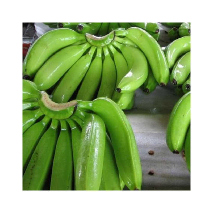 Cavendish Banana - Fresh Green Banana - Fresh Fruit and Vegetables With ...