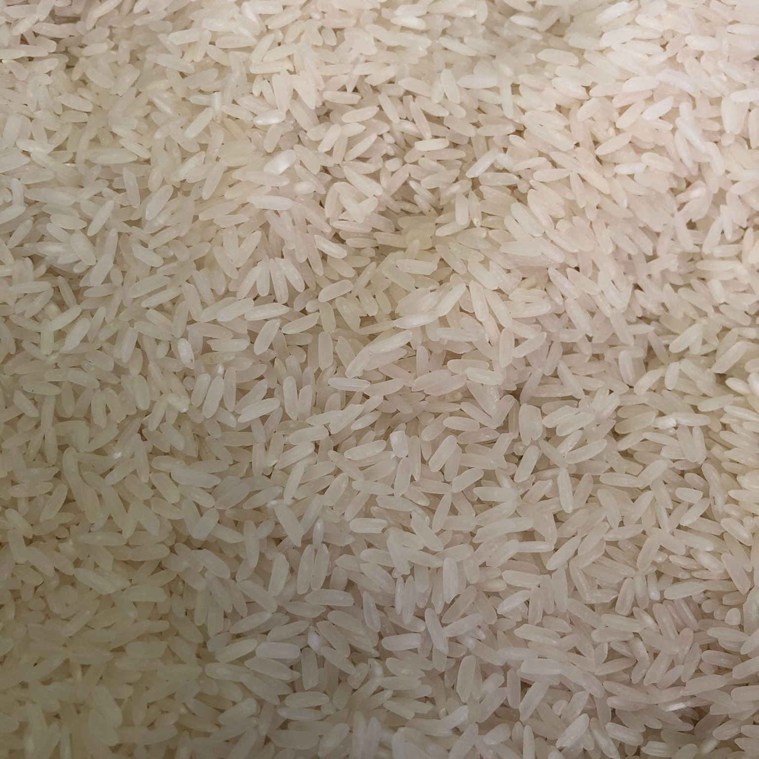 Jasmine Rice Nang Hoa Fragrant High Quality High Benefits Using For ...