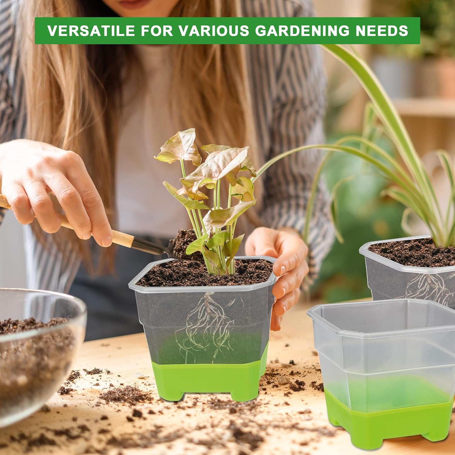 How to Choose the Best Seed Starter Pots 4 Inch: A Complete Buying Guide
