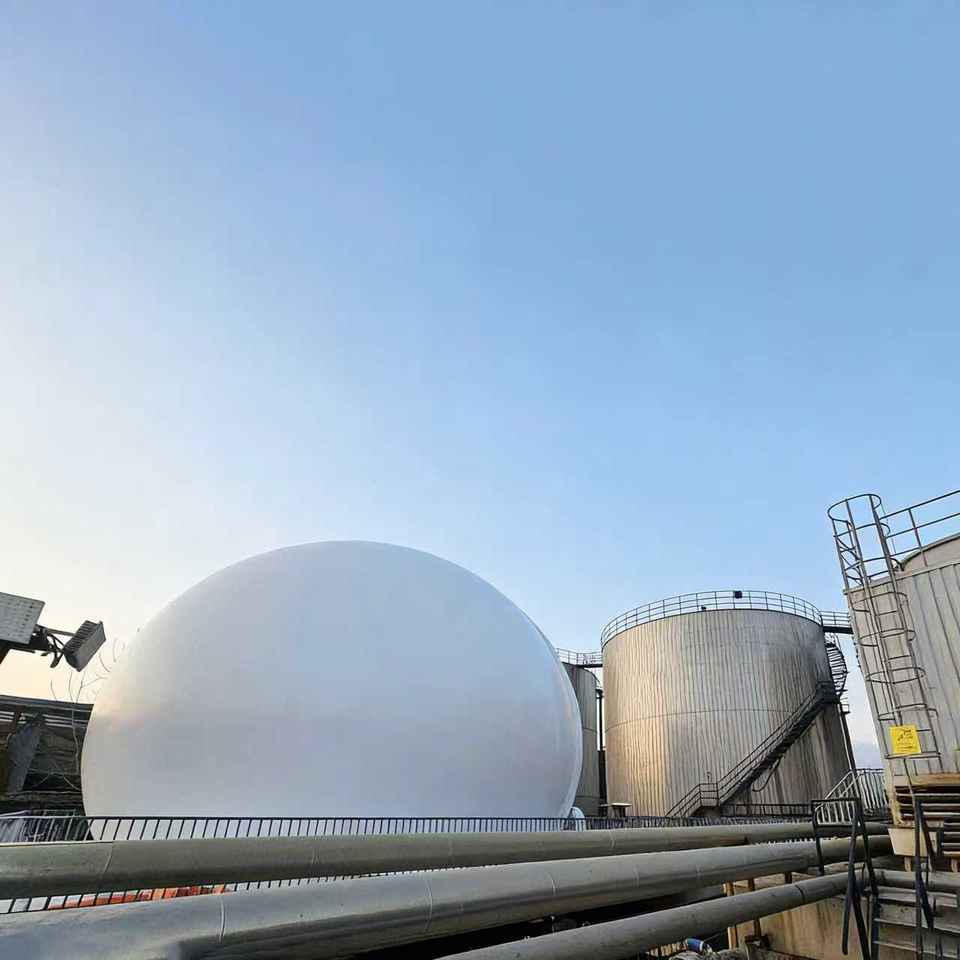 Biological Wastewater Treatment Digester Biodigestor Efficient Biogas ...