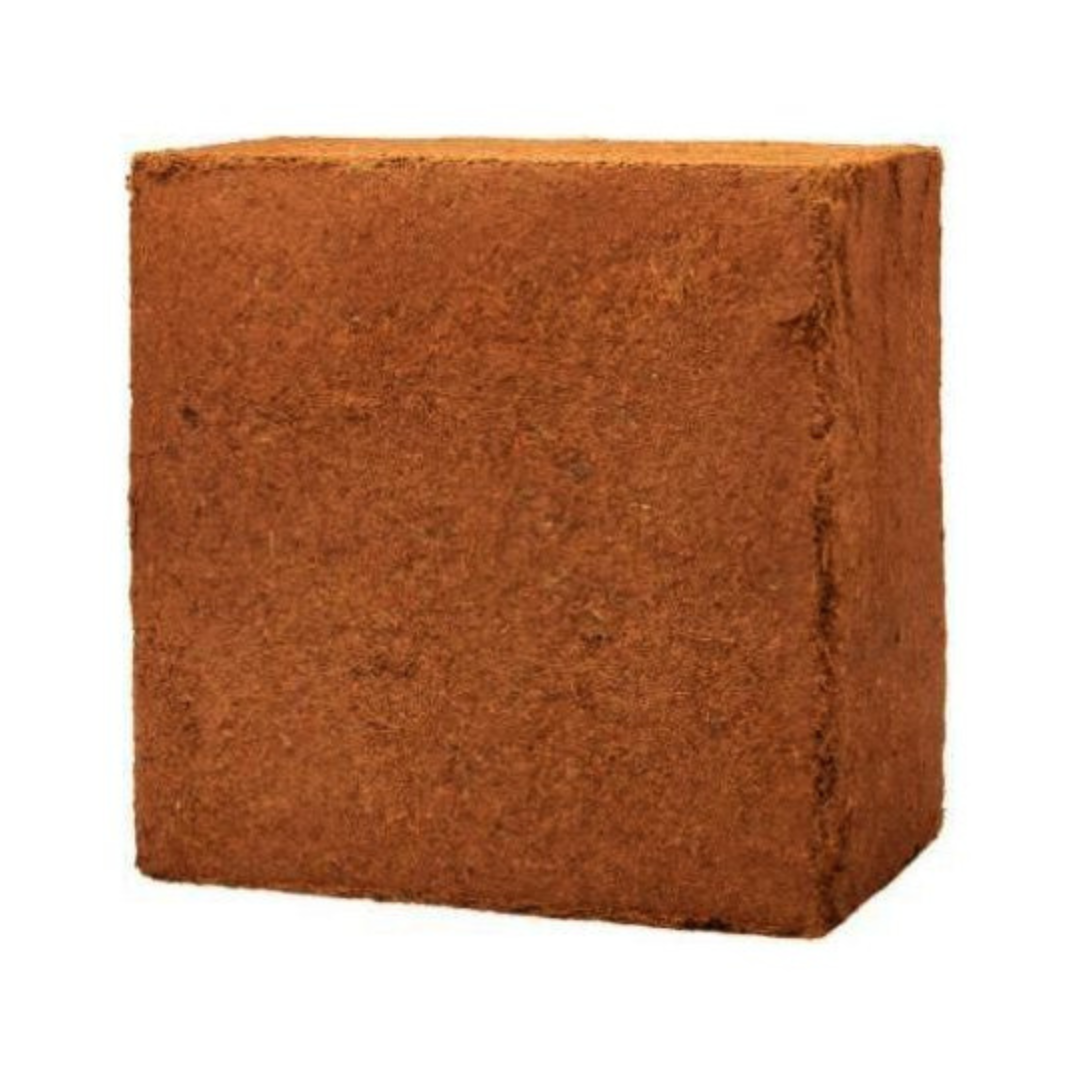 How to Choose the Best Coco Peat Blocks 5kg from Vietnam: A Complete ...