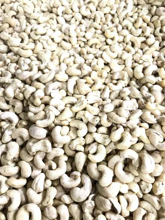 Kaju Cashew Nuts Raw Without Shell - W320 W240 W450 W180