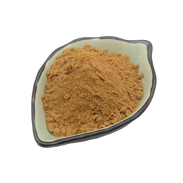 Golden Acacia Sweet Acacia Extract 10:1 - Botanical Cube