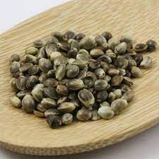 How to Choose Industrial Hemp Seed for Farming: A Complete Buyer's Guide