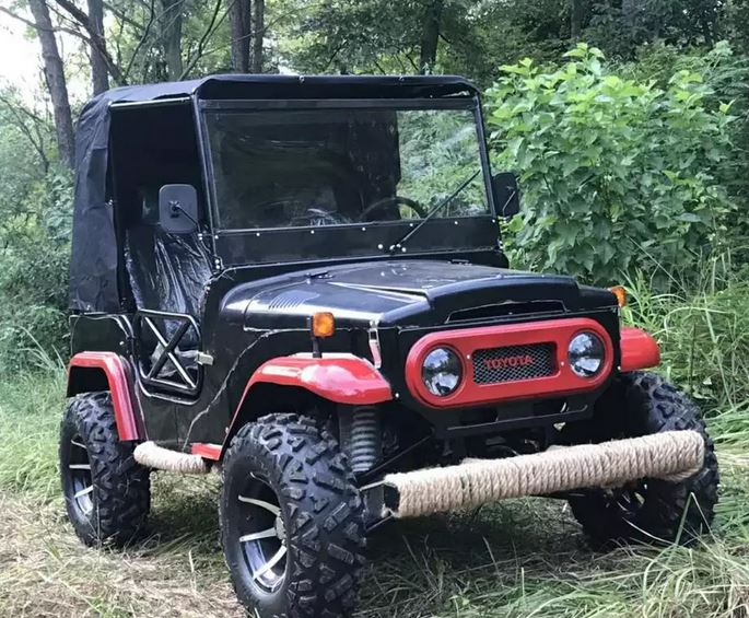 New Design Powerful 3000W Electric Off-Road Vehicle Adult All Terrain ...