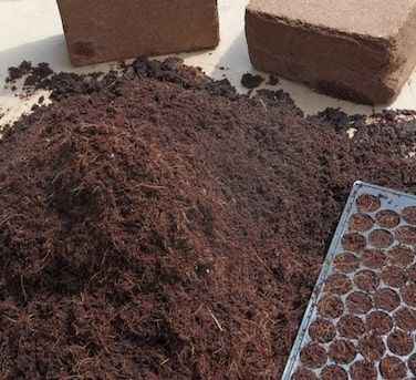 Professional Coconut Peat: Coarse Texture, Enhanced Nutrient Retention ...