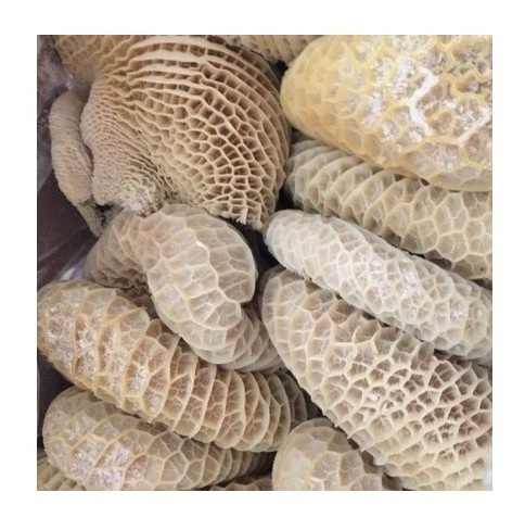 Wholesale Beef Tripe Cleaned - High-Quality Cow Stomach