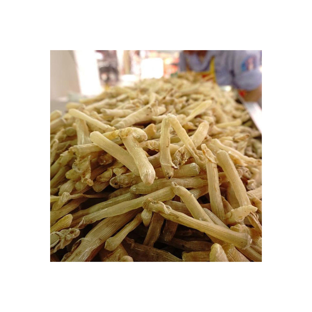 Promozione italian, Shopping online per italian promozionali - vermi ...