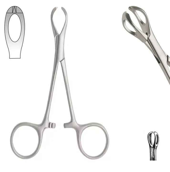 Lane Tissue Forceps Blunt Jaws 12.5cm Stainless Steel Surgical Dental ...