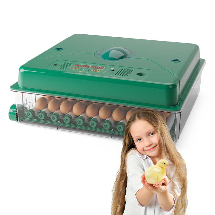 70 Egg Capacity Chicken Incubator, High Quality, ECO PROFI C-70| Alibaba.com