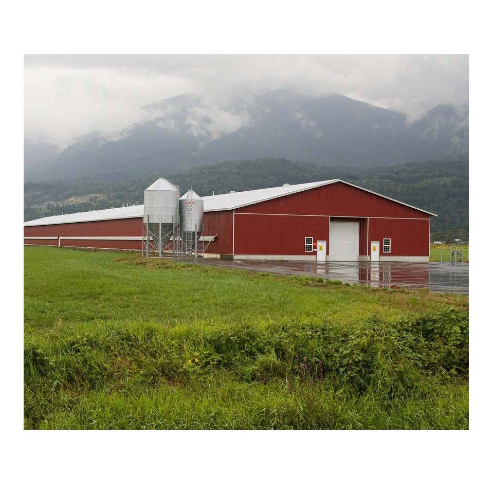 Prefabricated Steel Structure Layer Egg Chicken High Quality Free Range ...