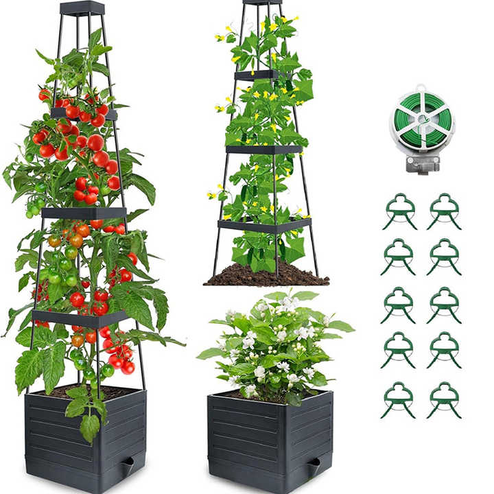 Garden Arch Lattice Plant Tomato Cage Clematis Rose Garden Trellis ...