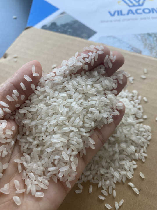 Vietnamese Calrose Rice Organic Dried Premium Quality Wholesale Price ...